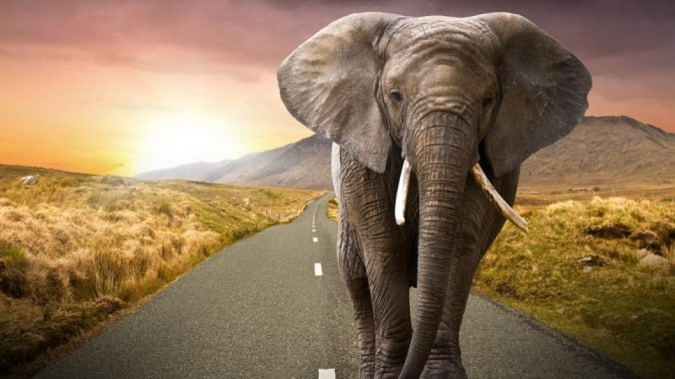 Why SYCL: Elephants in the SYCL Room | Argonne Leadership Computing ...